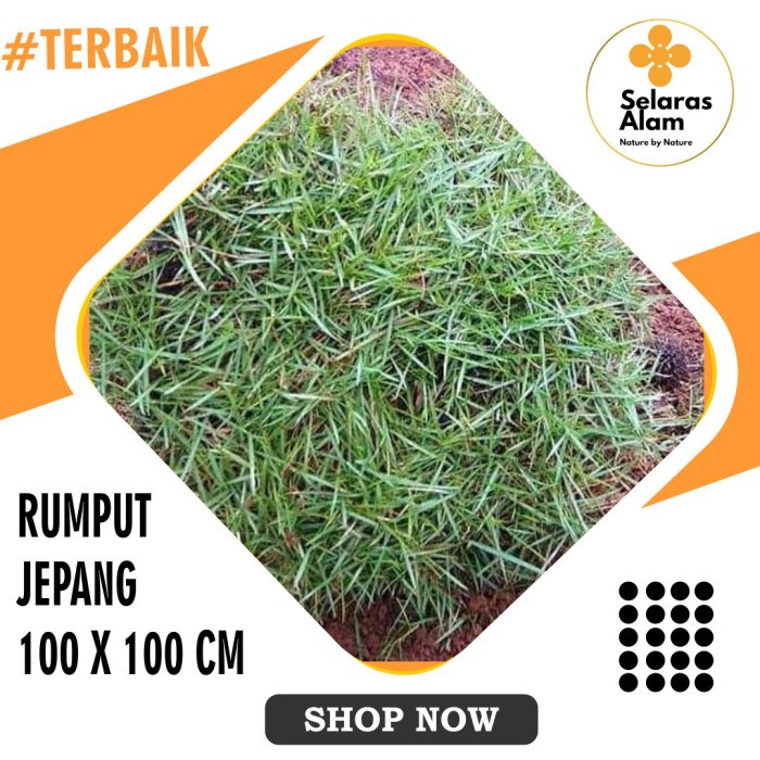 Jual RUMPUT JEPANG / KOREA / MANILA 1 M X 1 M | Shopee Indonesia