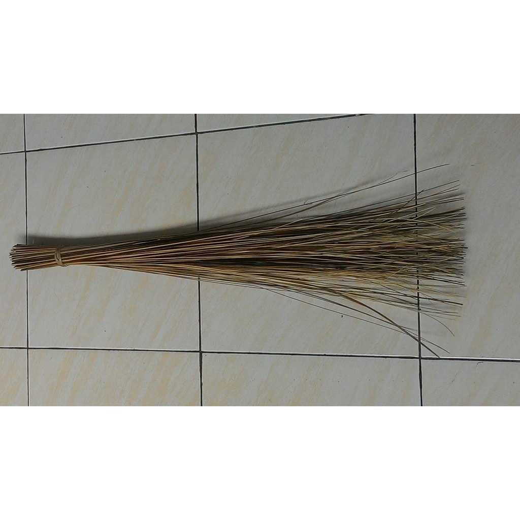 Jual Sapu Lidi tradisional asli lidi kelapa dan aren serbaguna | Shopee ...