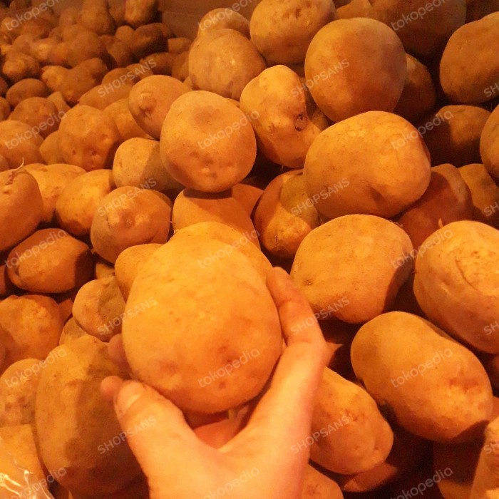 Jual Kentang Segar 1Kg Fresh potato | Shopee Indonesia