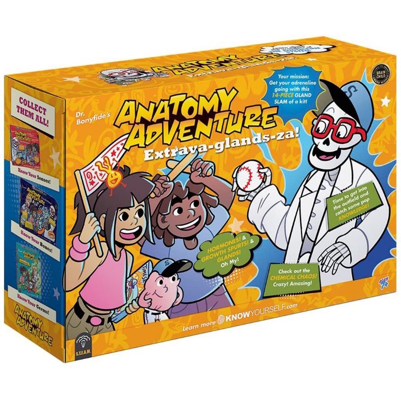 Jual ANATOMY ADVENTURE - EXTRAVA GLANDS ZA ( BROWN BOX) | Shopee Indonesia