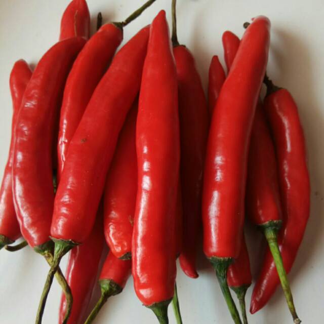 Jual Cabe Merah TW / TW Merah Besar 250gr | Shopee Indonesia