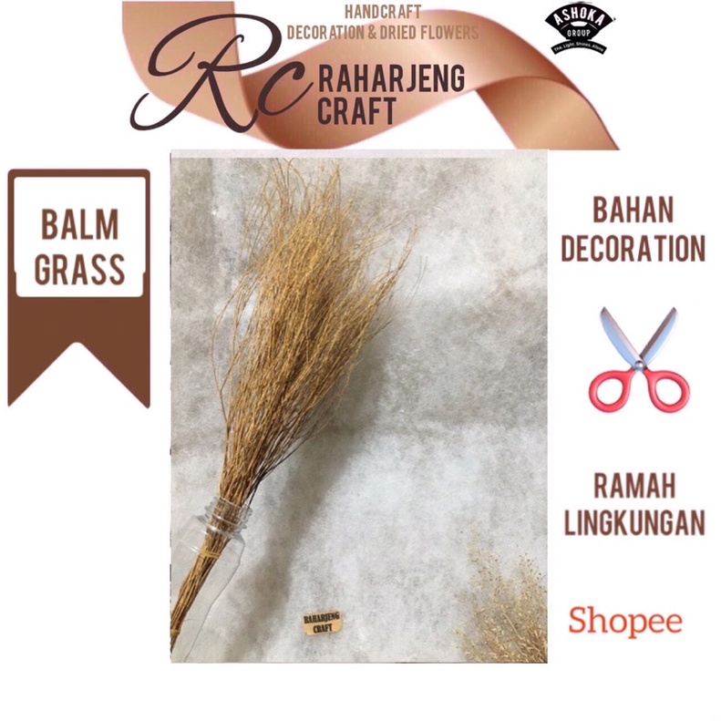 Jual 022 || 1 ikat || Dried balm grass ranting bunga kering dekorasi ...