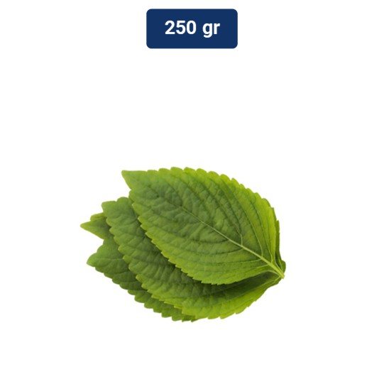 Jual Daun Perila / Kenip 250 gr | Shopee Indonesia