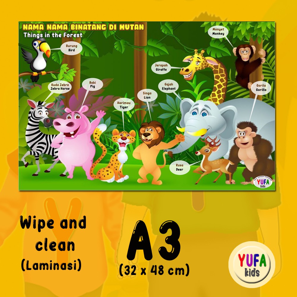 Jual 035 Poster binatang - Poster Edukasi Anak - Poster belajar anak ...