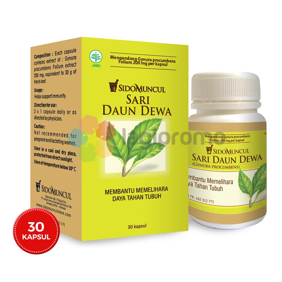 Jual Sido Muncul Sari Daun Dewa 30 Kapsul Obat Kanker Payudara Alami ...