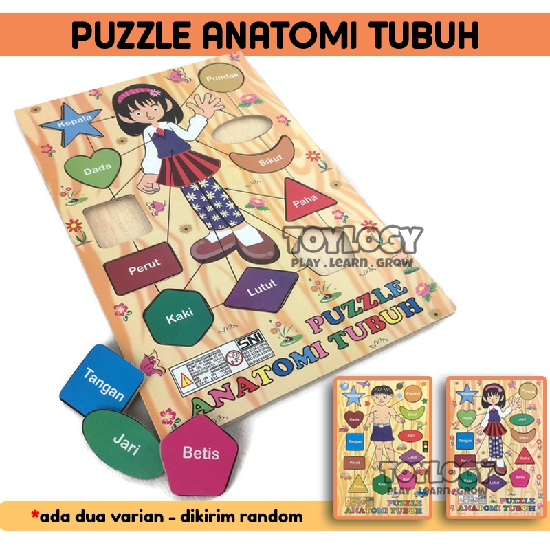 Jual Mainan Edukasi Anak Puzzle Kayu Gambar Anatomi Bagian Tubuh Badan ...