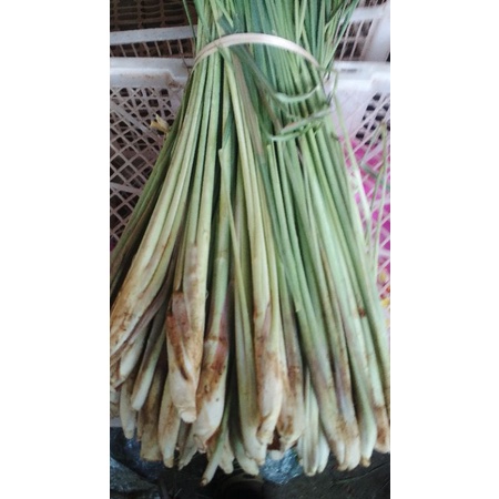 Jual sereh 1 kg | Shopee Indonesia