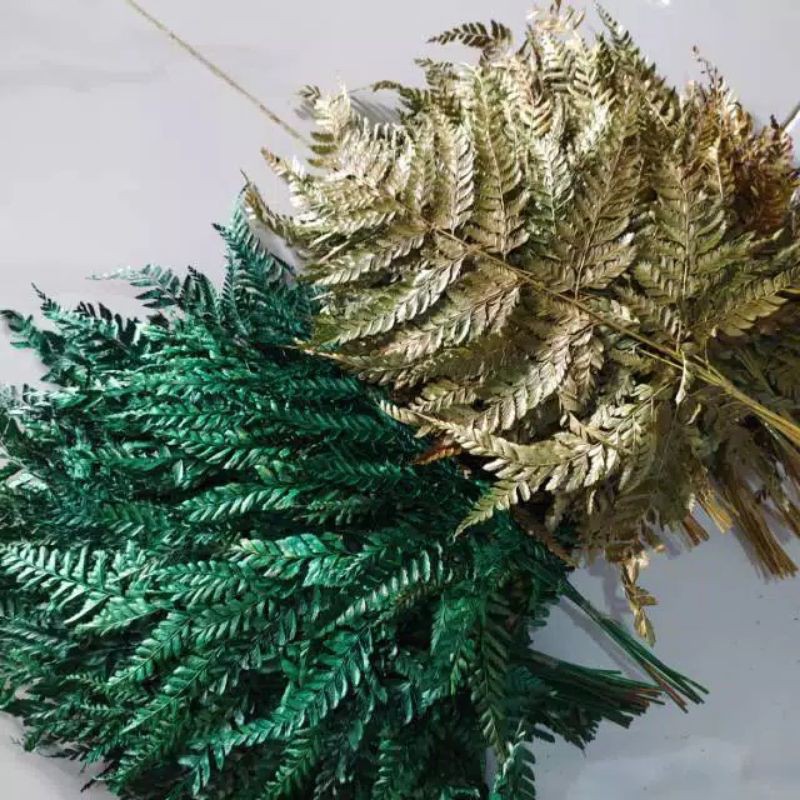 Jual Daun Pakis Kering Daun pakis Hijau Natural untuk buket bunga ...