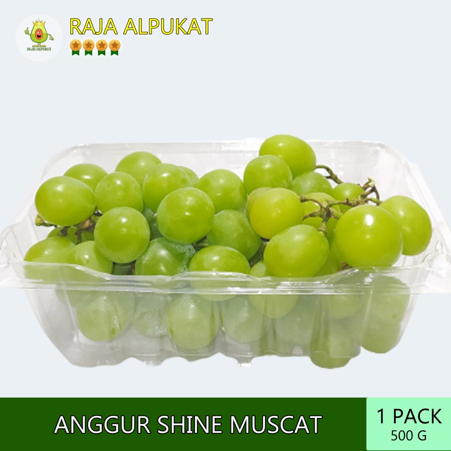 Jual Anggur Ijo Shine Muscat Seedless (1 Pack) | Shopee Indonesia