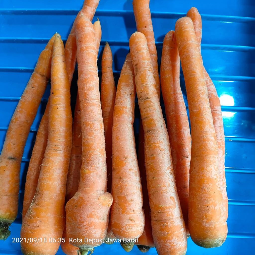Jual Wortel 1 Kg - Wortel 500 gram - Wortel 1/2 Kg | Shopee Indonesia