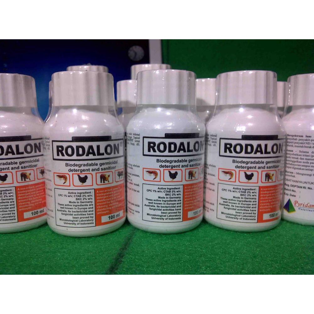 Jual rodalon antiseptik dan disinfektan 100 ml | Shopee Indonesia