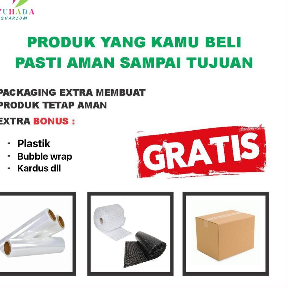 Jual Koleksi Terbaru.. 1 Set Aquarium Kura - Kura PVC Lengkap Hiasan ...