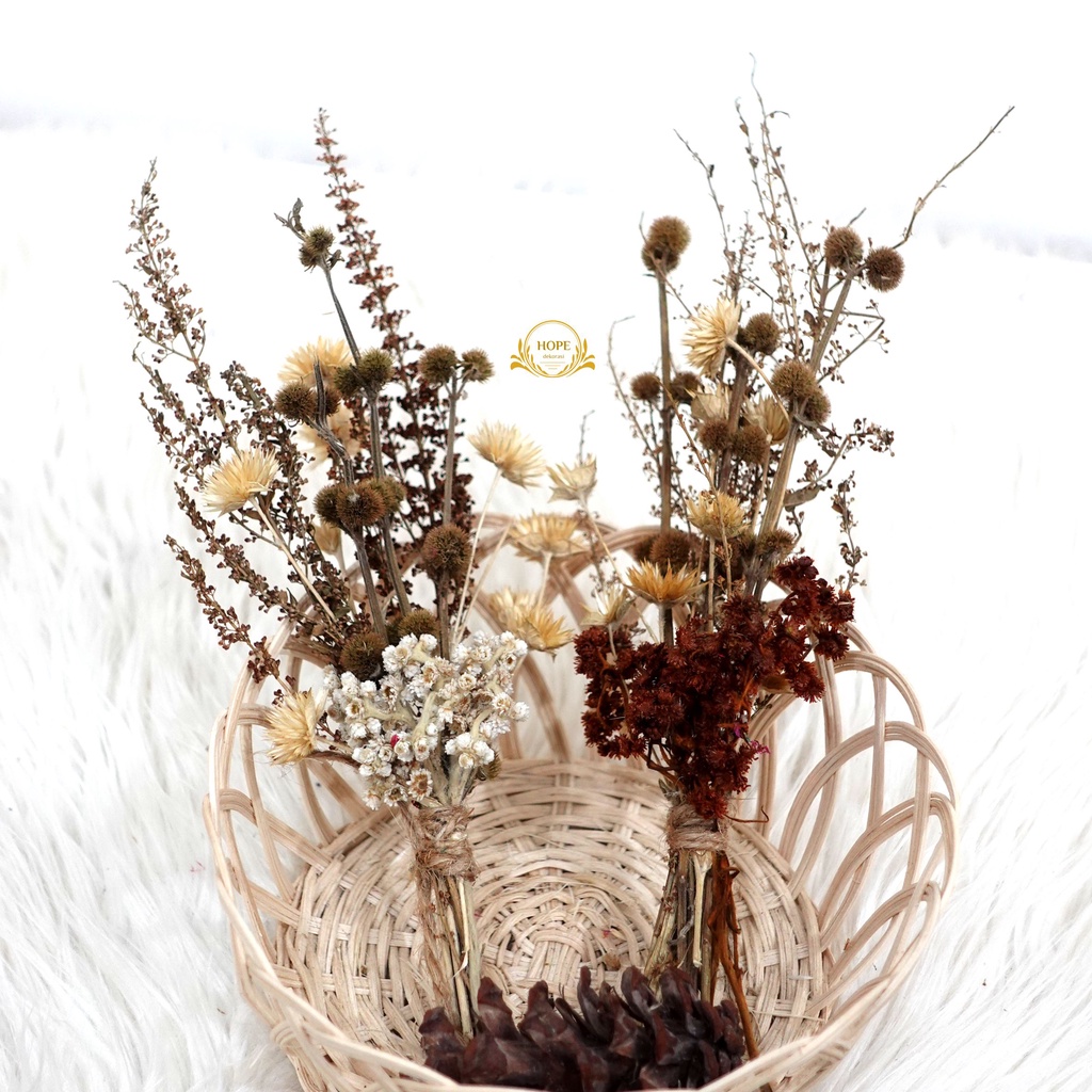 Jual Buket Bunga Kering Rangkai Tapak Liman Putih Hiasan Seserahan Gift ...