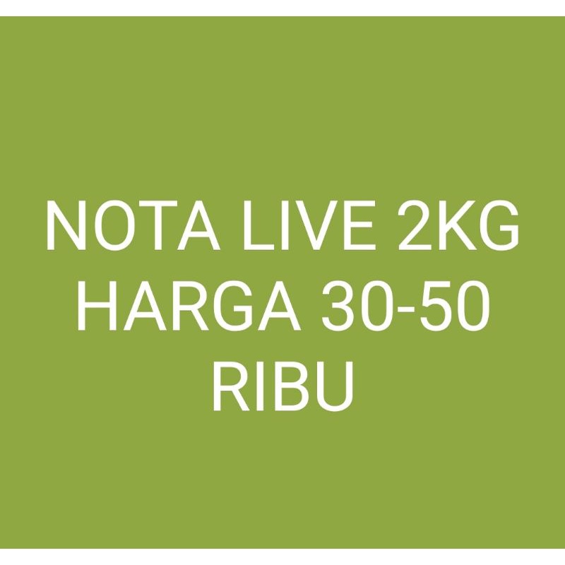Jual Nota live 2kg | Shopee Indonesia
