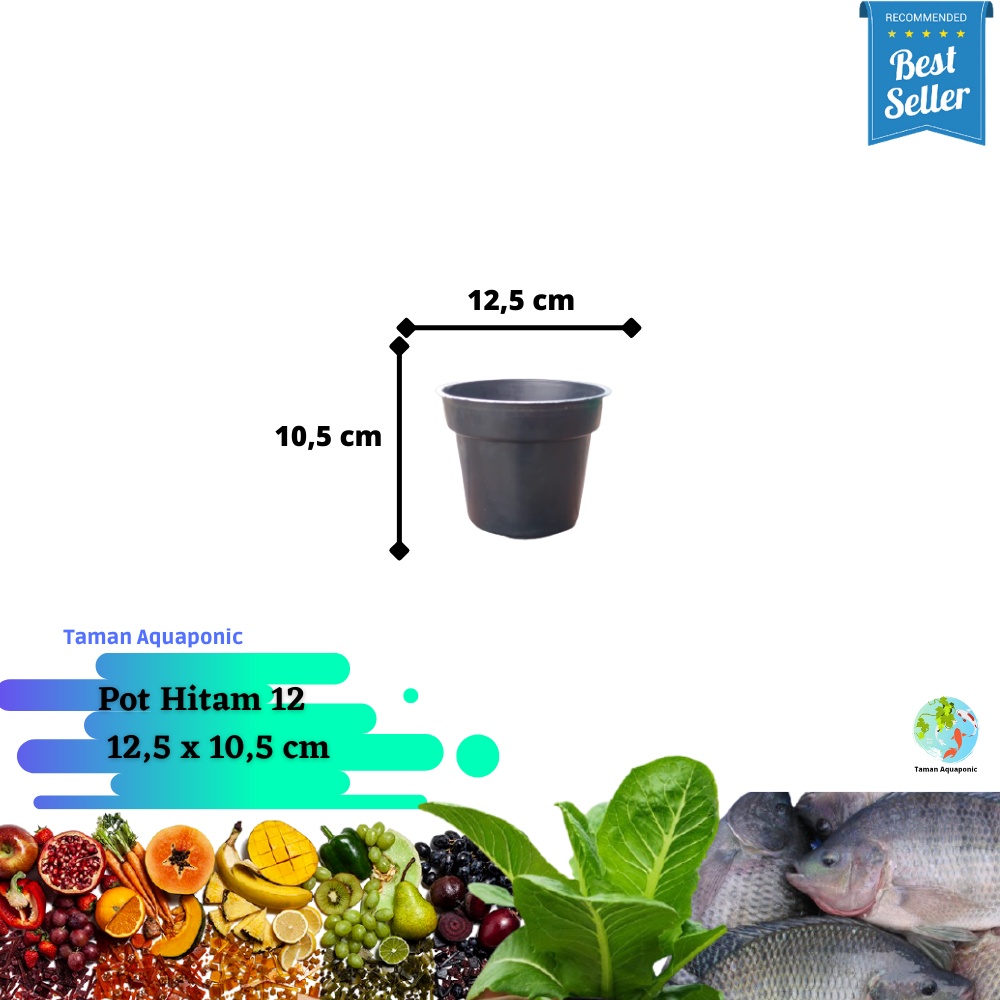 Jual Pot Hitam Ukuran 12 | Shopee Indonesia