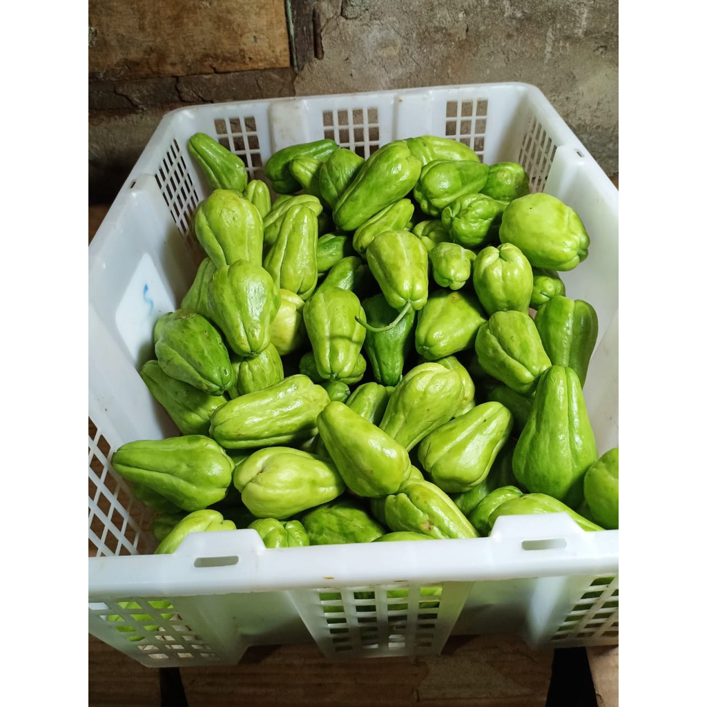 Jual Labu Lalap / 250gr | Shopee Indonesia