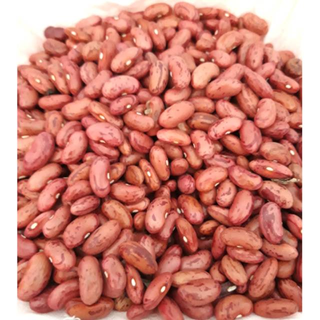 Jual Kacang Merah Besar 250 gr | Shopee Indonesia