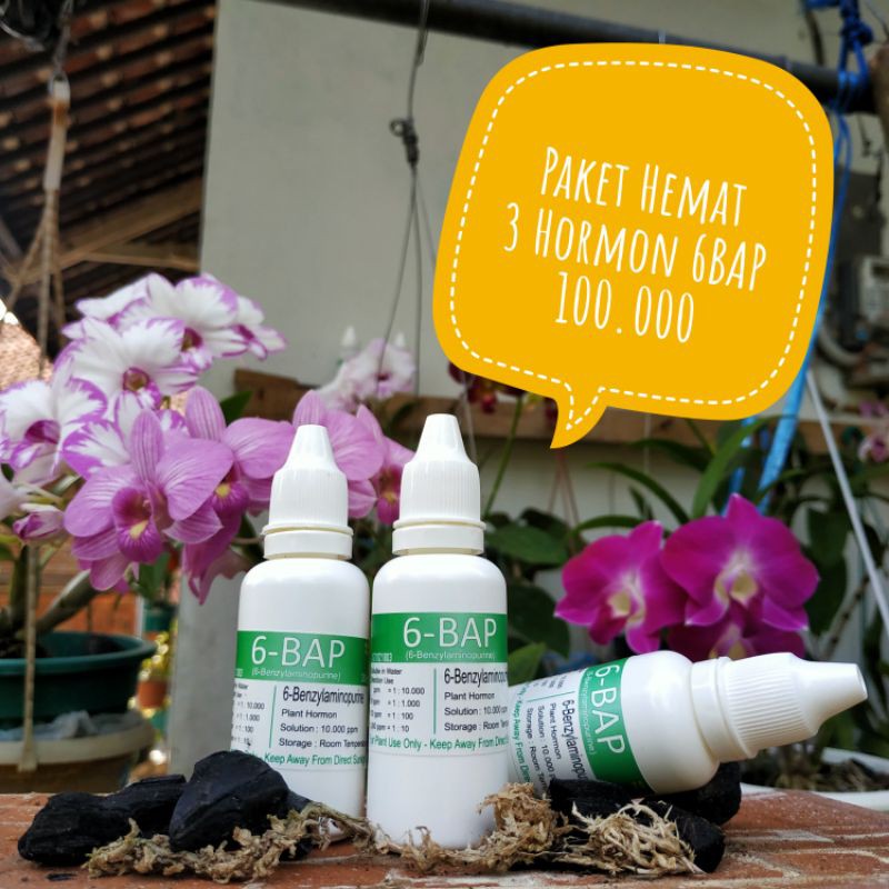 Jual PAKET HEMAT 3 BOTOL HORMON 6 BAP Benzylaminopurine (hormon 6BAP ...