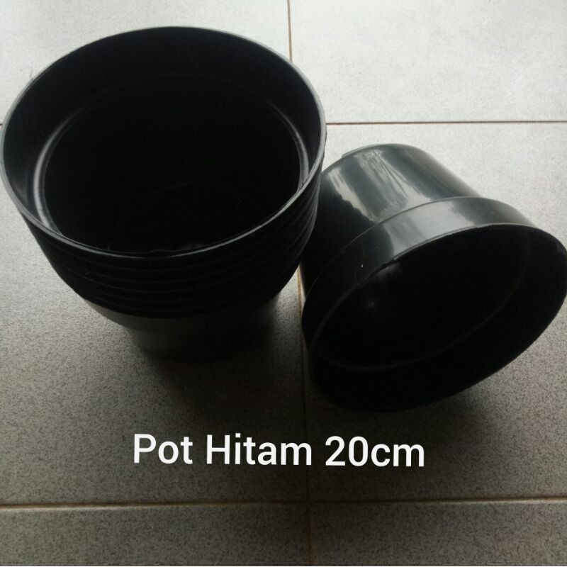 Jual Pot 20cm Hitam Tanaman Hias Keladi Aglaonema Sansivera Kaktus ...