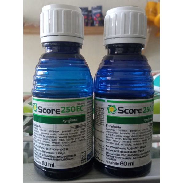 Jual OBAT JAMUR FUNGISIDA SCORE SYNGENTA | Shopee Indonesia