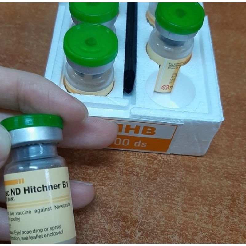 Jual Vaksin ND Hitchner B1 500 dosis | Shopee Indonesia