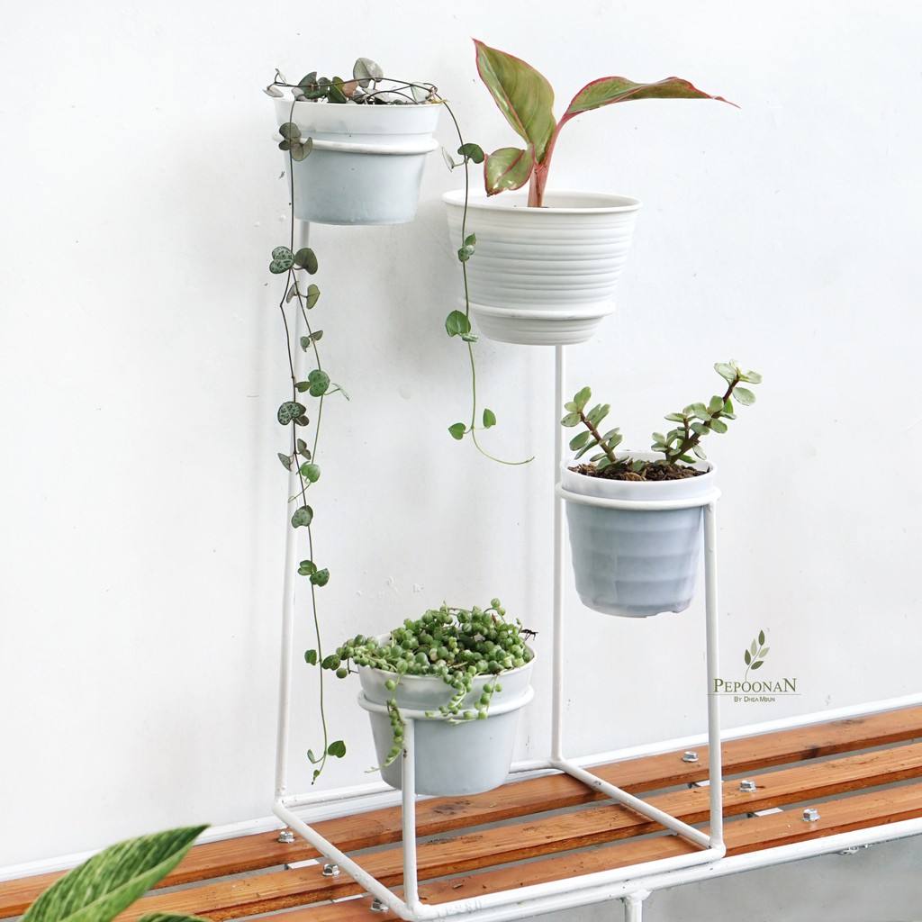 Jual Standing Pot Mini 4 / STANDING POT TANAMAN BUNGA / STAND POT ...