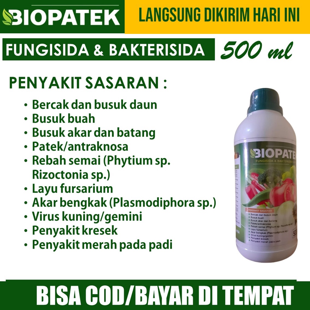 Jual BIOPATEK Fungisida Hayati Obat Hama Patek/antraknosa, Bercak dan ...