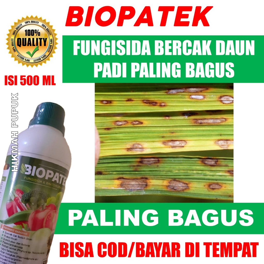 Jual Fungisida Bercak Daun Padi Paling Bagus BIOPATEK 500 ML - Obat ...