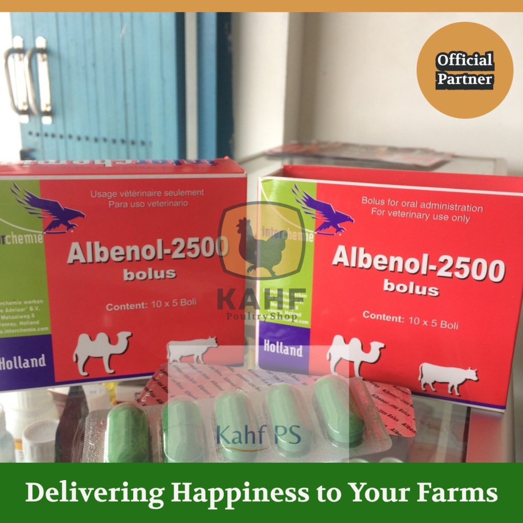 Jual Albenol 2500 isi 5 Bolus - Obat Cacing pada Sapi | Shopee Indonesia