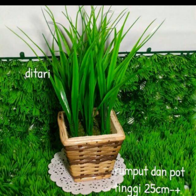 Jual BUNGA rumput artificial artifisial palsu sintetis pot rotan shabby ...
