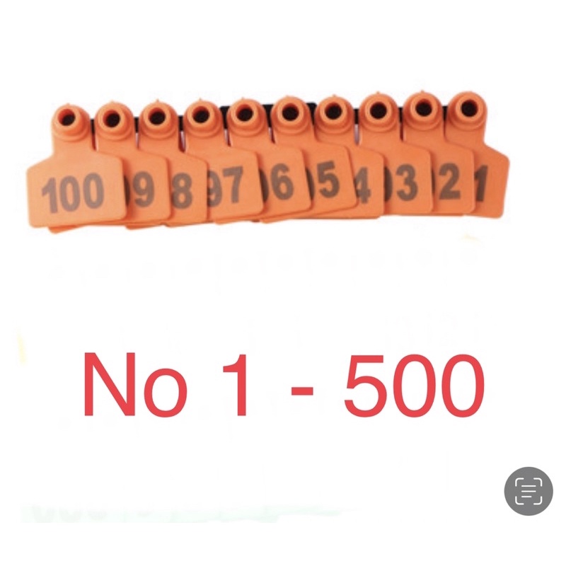 Jual Orange 500Pcs Tag Telinga Hewan Ternak Babi Sapi Domba Kambing Ear ...