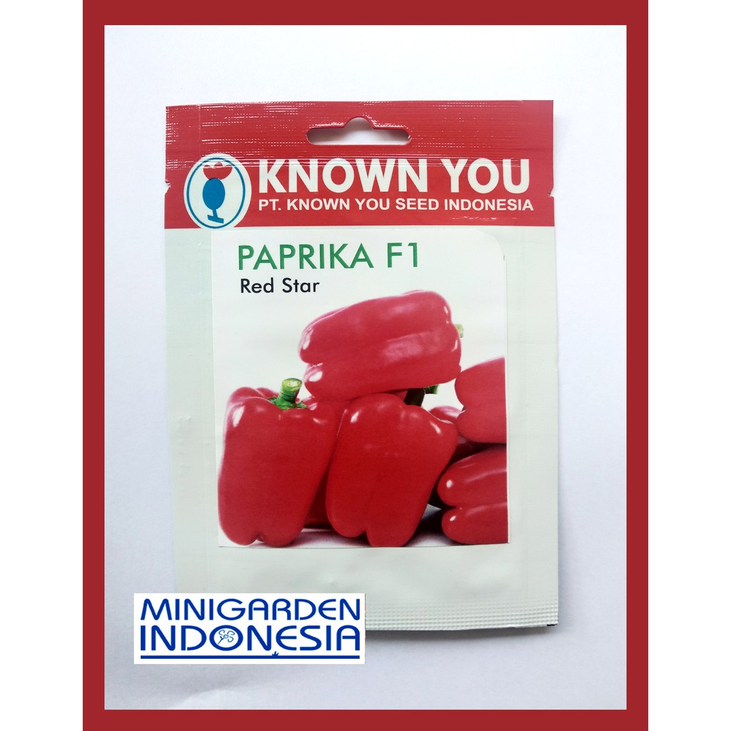 Jual PAPRIKA RED STAR PACK KECIL 25 BIJI Benih Paprika Merah F1 unggul ...