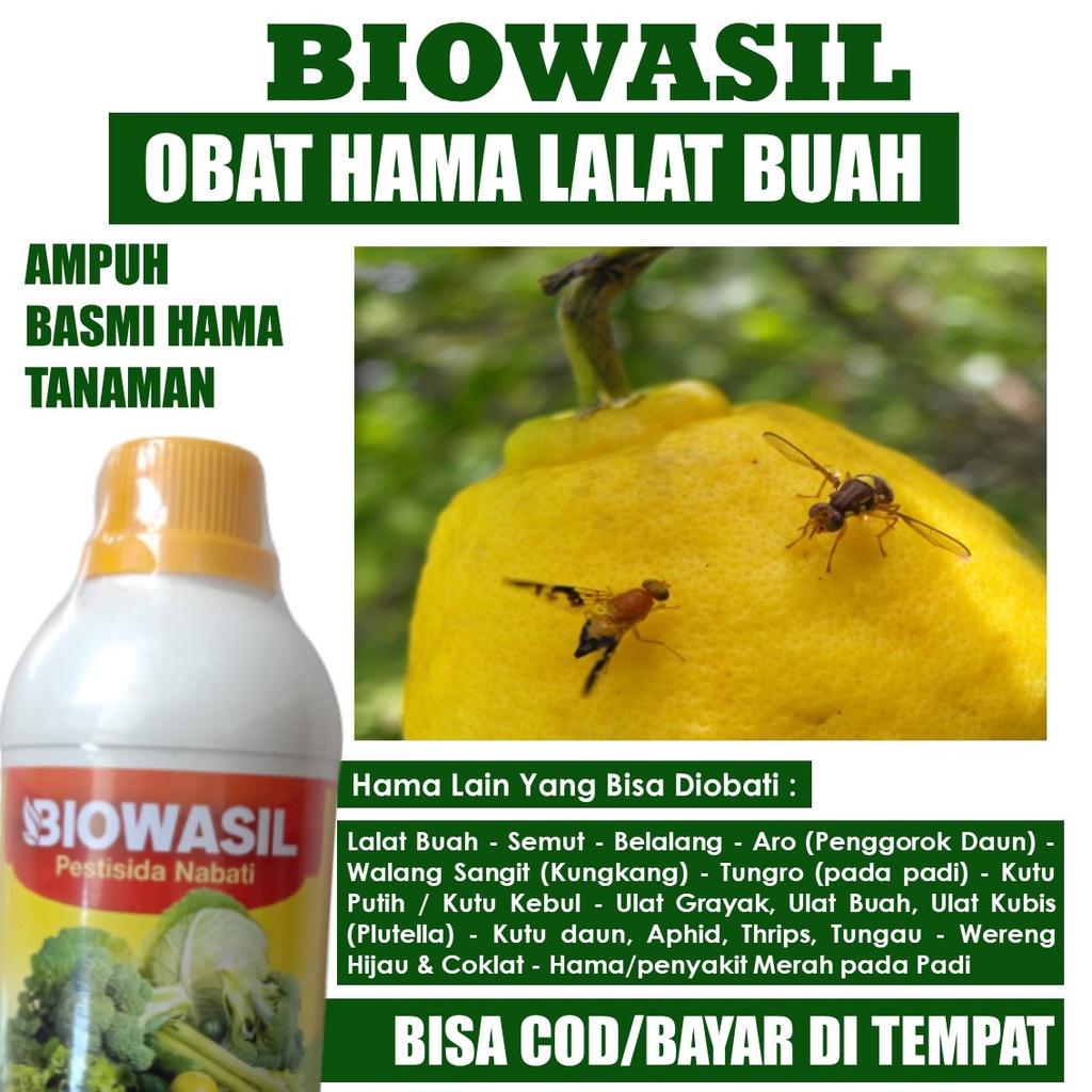 Jual BIOWASIL 500 ML - Obat Pengusir Lalat Buah Terbaik, Pupuk ...