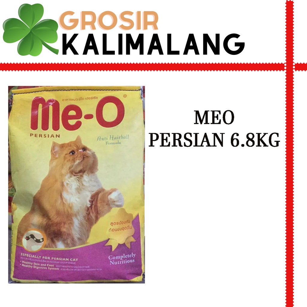 Jual Meo Persian 6.8k (Ekspedisi) | Shopee Indonesia