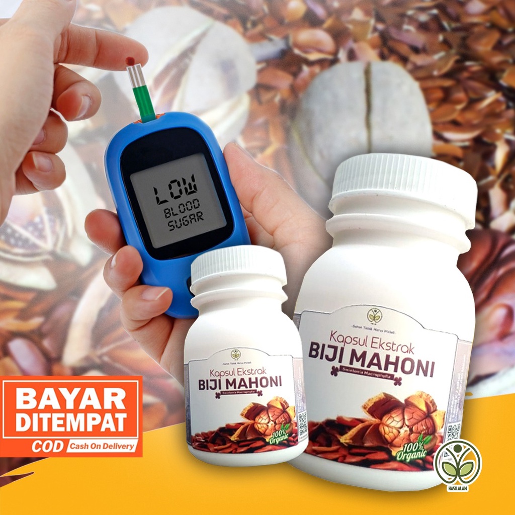 Jual Herbal Diabetes Kencing Manis Darah Tinggi Diabet Kapsul Biji ...