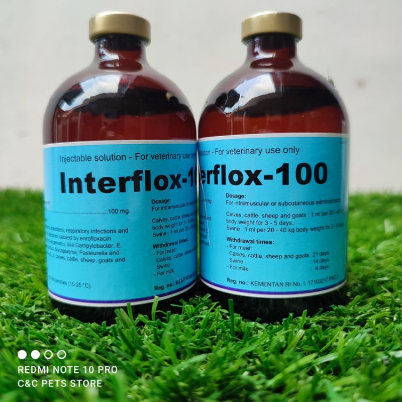 Jual Interflox 100 Injeksi 100 ml | Shopee Indonesia