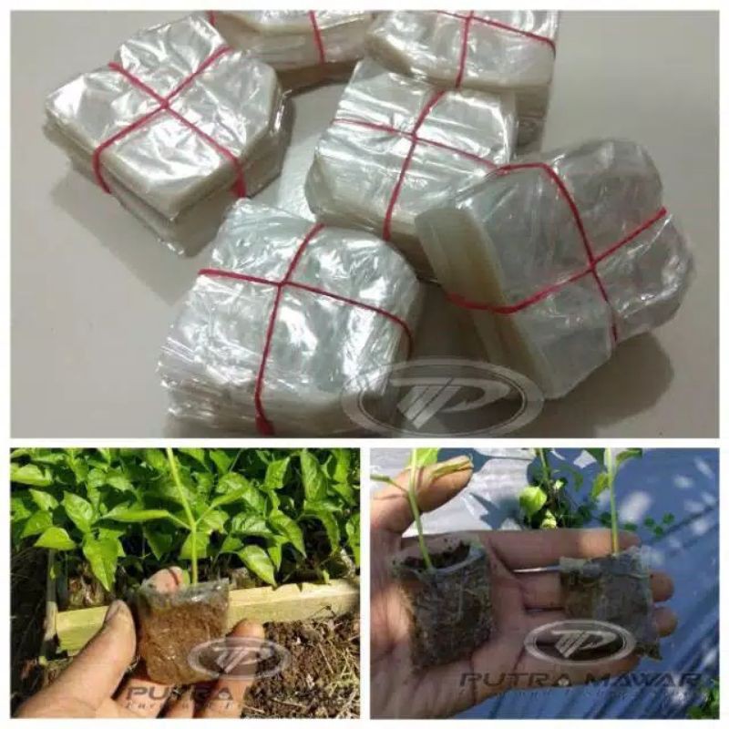 Jual plastik semai | polybag tanaman | plastik bibit berat 250 gram ...