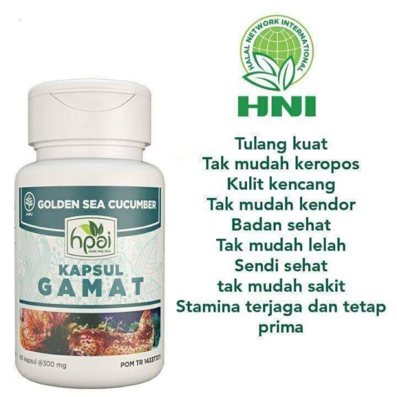 Jual Gamat kapsul/ SC Tulang bawang | Shopee Indonesia
