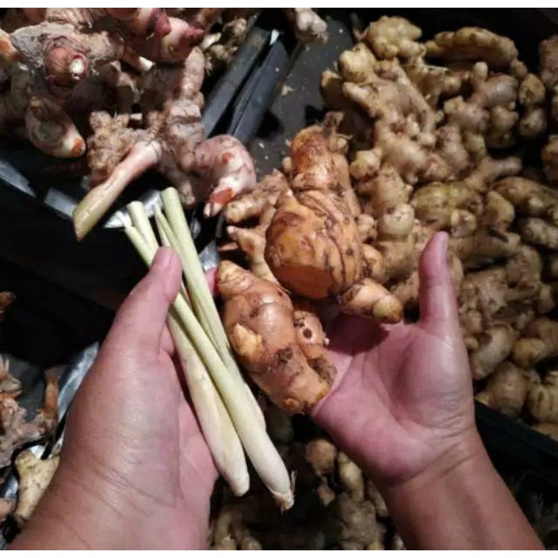 Jual rempah lempuyang kunir sereh daun salam dll | Shopee Indonesia