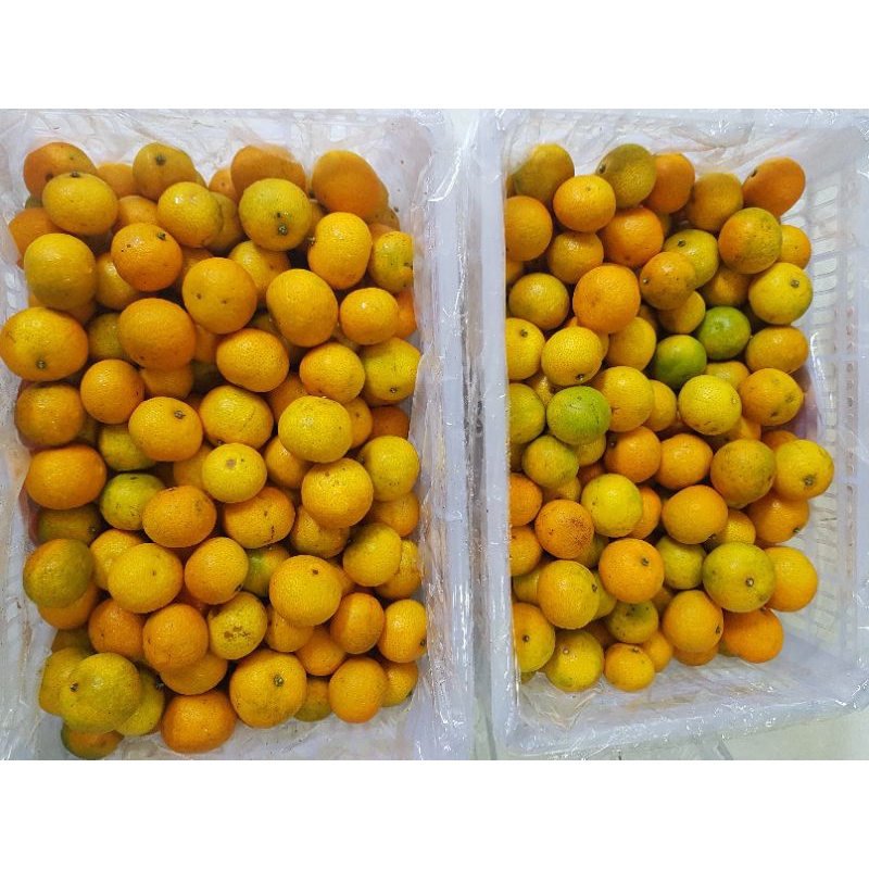 Jual jeruk shantang madu,jeruk manis,buah palembang,purr manis,no asem2 ...