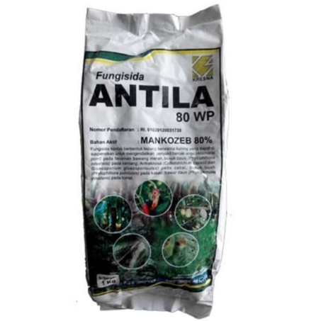 Jual antila 500 gr | Shopee Indonesia