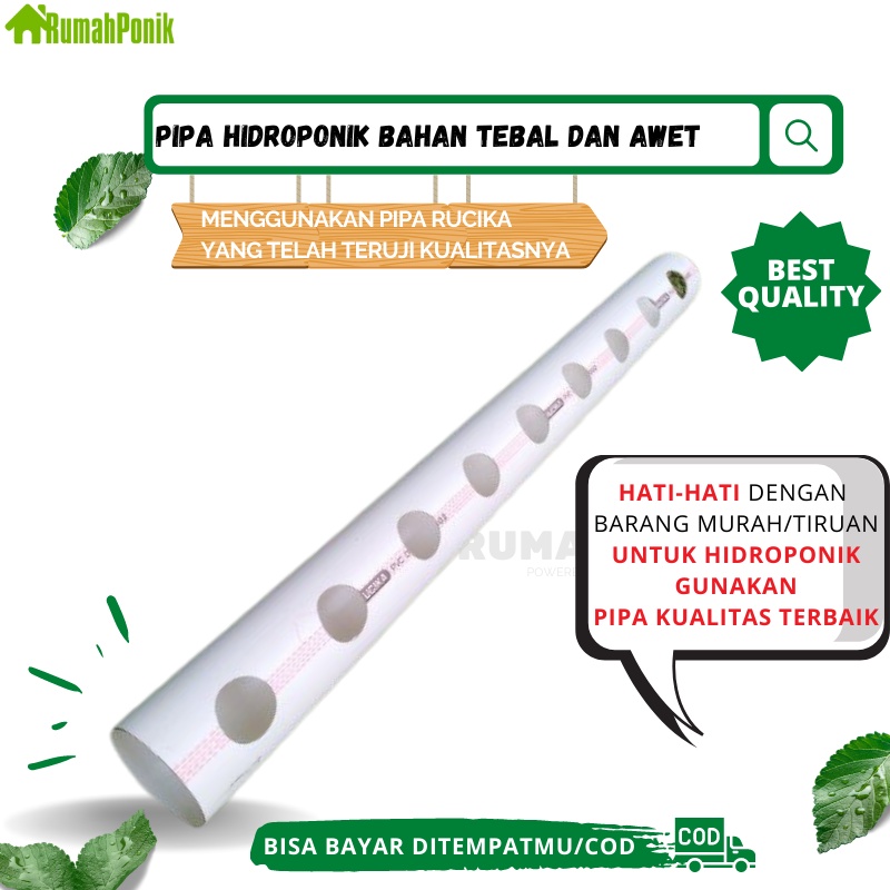 Jual Pipa Hidroponik - Paralon Hidroponik 2,5 inch Tanpa Tutup 0,5 ...