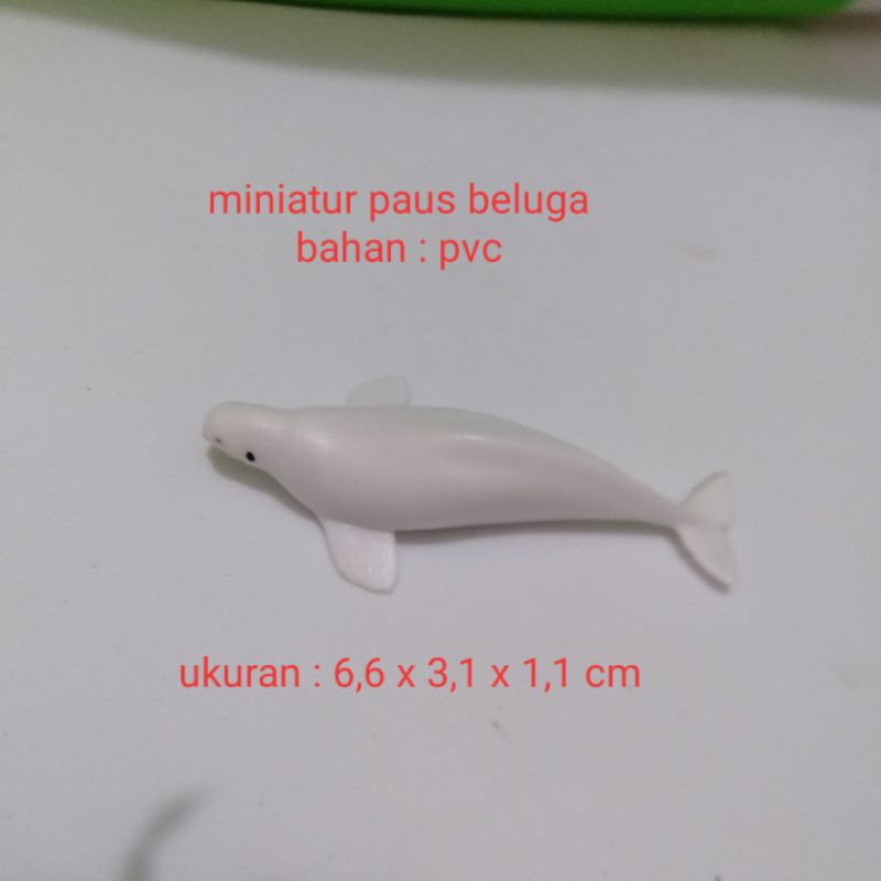 Jual Miniatur Ikan Paus Beluga Miniatur Beluga Whale | Shopee Indonesia