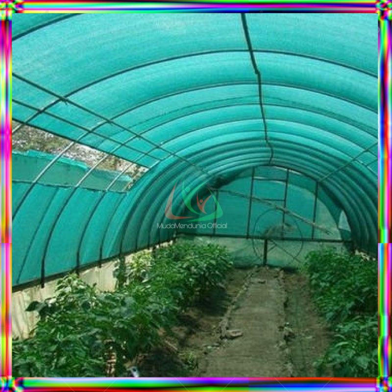 Jual Jaring Insect Net Hijau/Kasa mesh Anti serangga hama nyamuk eceran ...