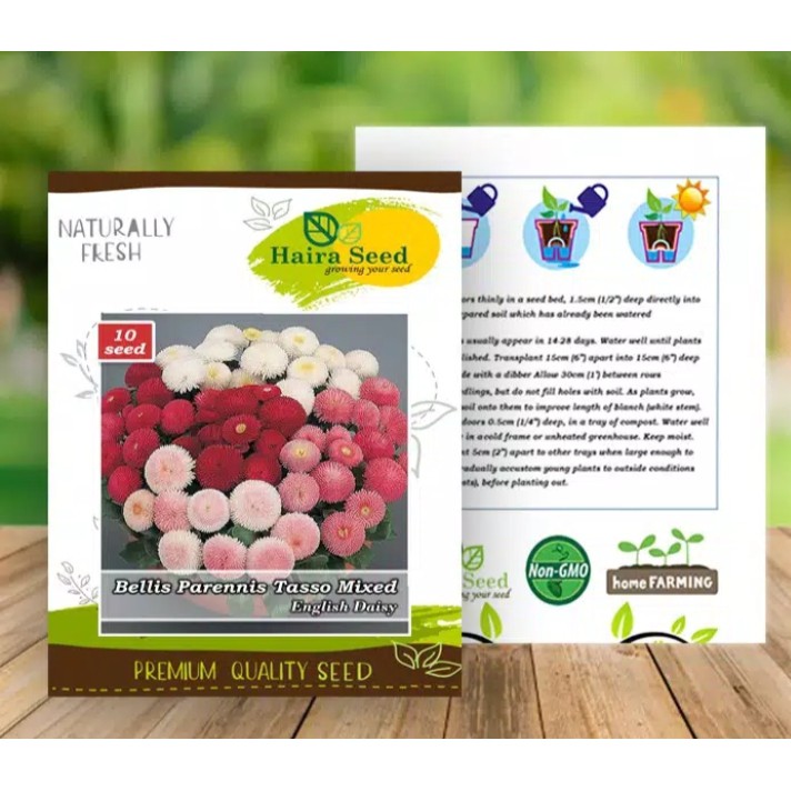 Jual Benih-Bibit Bunga English Daisy Bellis Tasso Mix (Haira Seed ...
