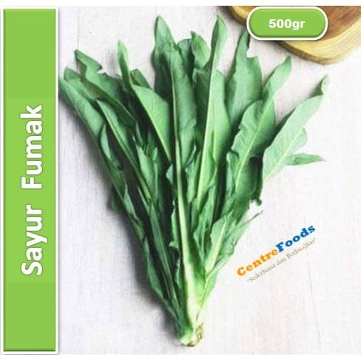 Jual Sayur Fumak Fresh - Jabar | 500gr [ Harga Per 0,5 Kg ] | Shopee ...