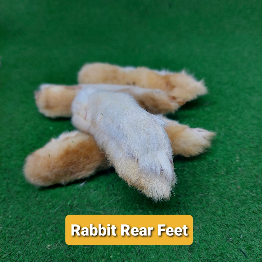 Jual RABBIT JERKY FOR DOG & CAT - EARS KUPING / FRONT FEET KAKI DEPAN ...