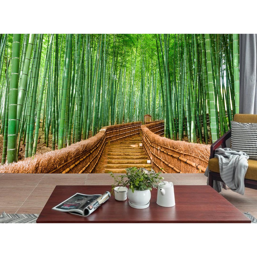 Jual wallbaner/banner DINDING pohon bambu | Shopee Indonesia