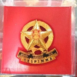 Jual PIN SESPIMMA POLRI NON MIKA (BUKAN UTK UMUM/SIPIL) | Shopee Indonesia