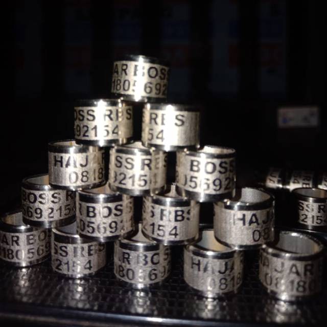 Jual RING MERPATI/RING BAJA WINNER CETAK NAMA ISI 25 BIJI | Shopee ...